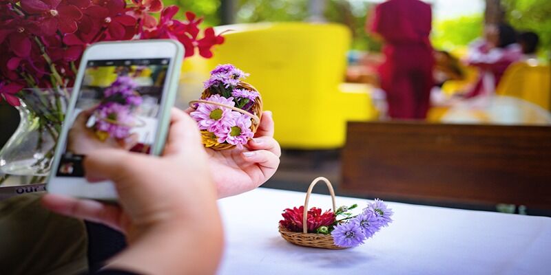 Chelsea Flower Show 2026 | Dates, Tickets & Show Gardens